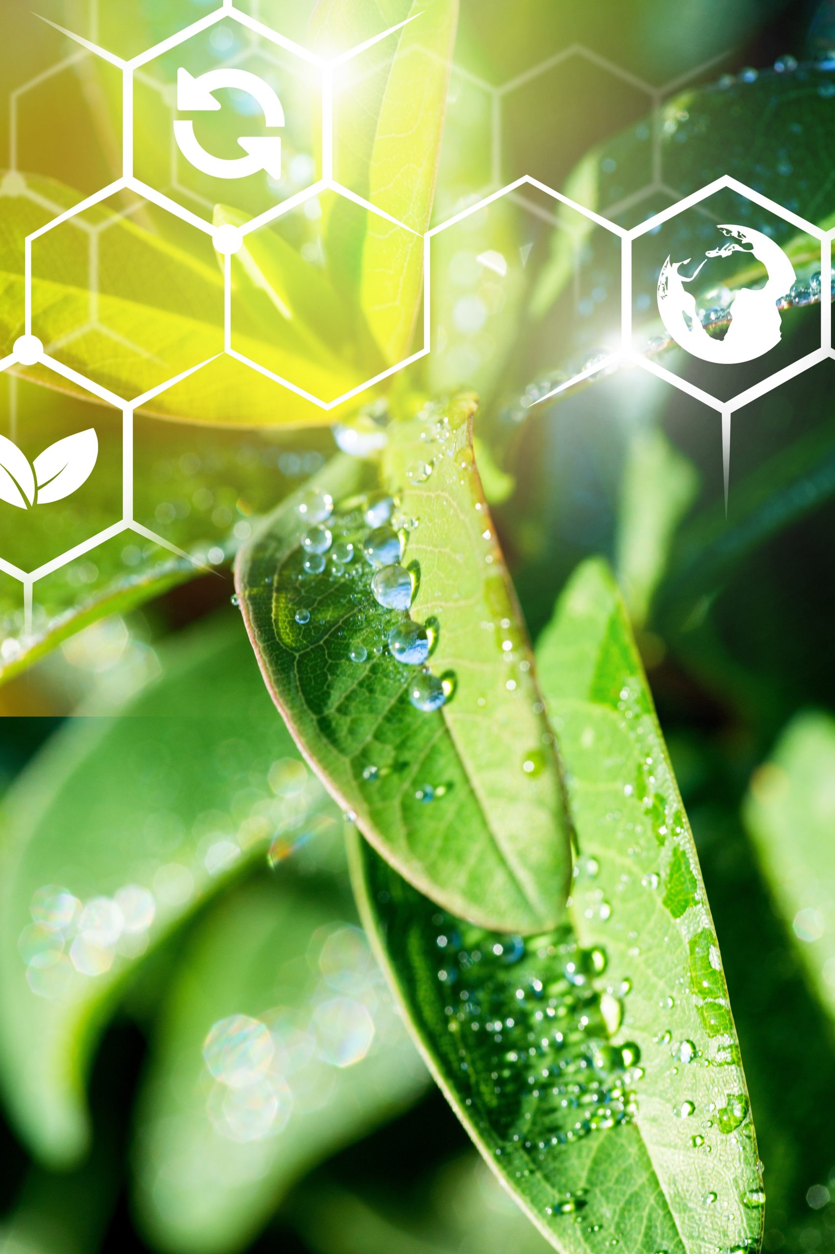 PRABIA | Puerto Rico Agricultural Biotechnology Industry Association